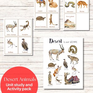Desert Animals Unit Study, Desert Activities, Nature Journal - Etsy