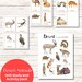 Desert Animals Unit Study, Desert Activities, Nature Journal - Etsy