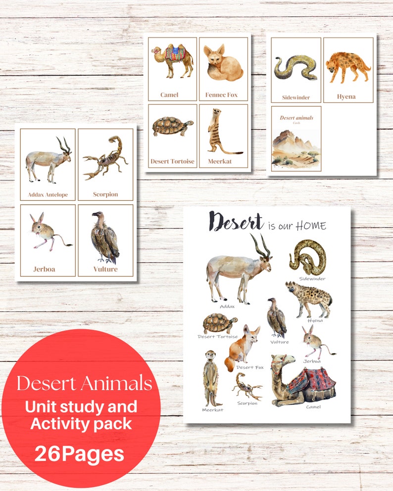 Desert Animals Unit Study, Desert Activities, Nature Journal - Etsy
