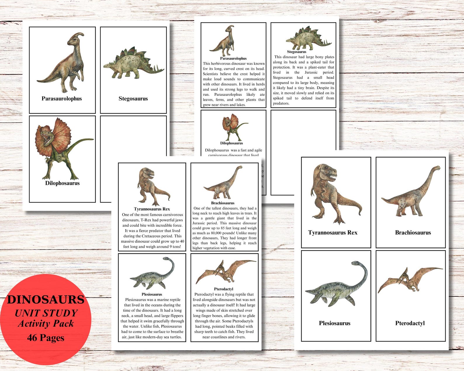 Dinosaurs Unit Study, Preschool Learning Pack (PDF) - Etsy