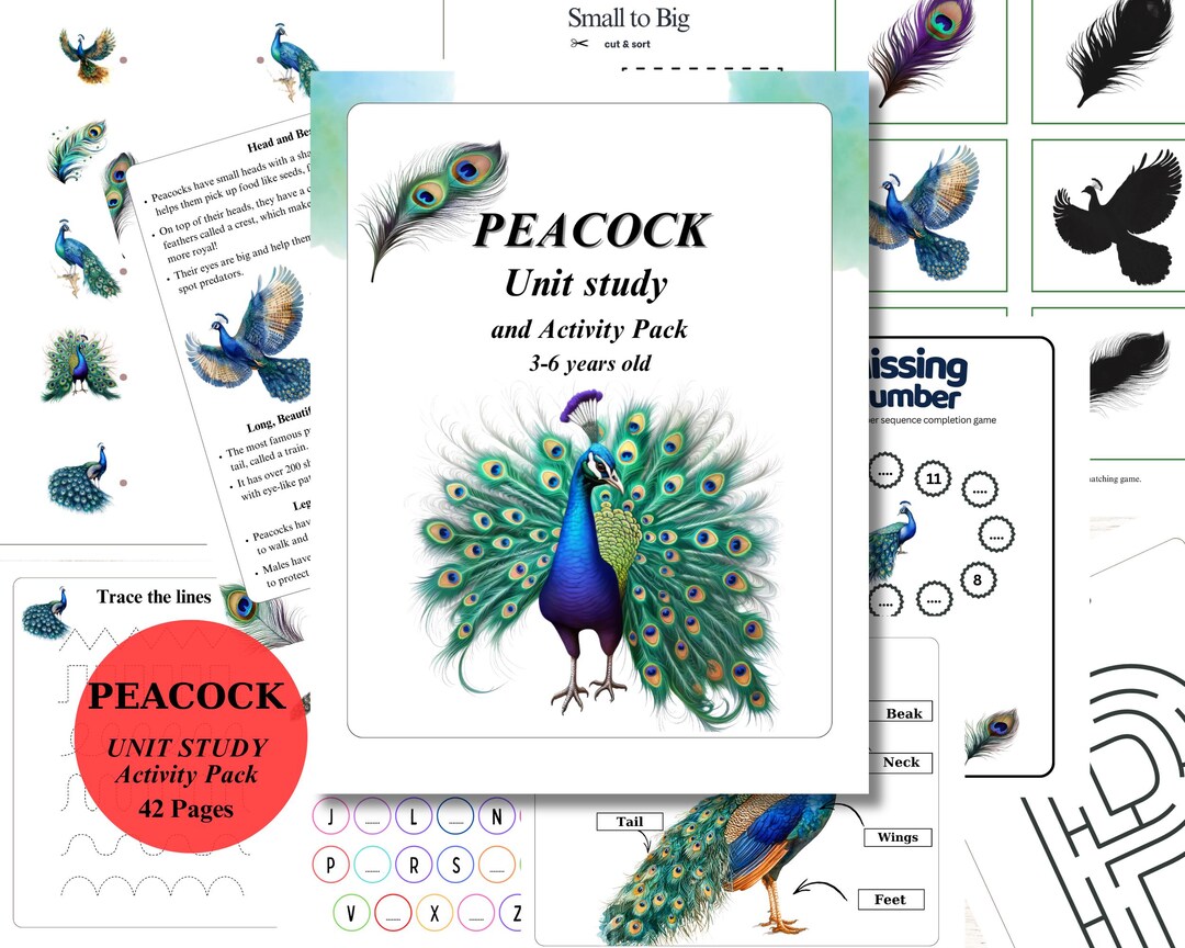 PEACOCK Unit Study and Activity Pack, Kids 3-6 Years Old, Anatomy ...