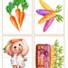 Carrot Unit Study, Vegetable Printable Activity, Nature Home School ...