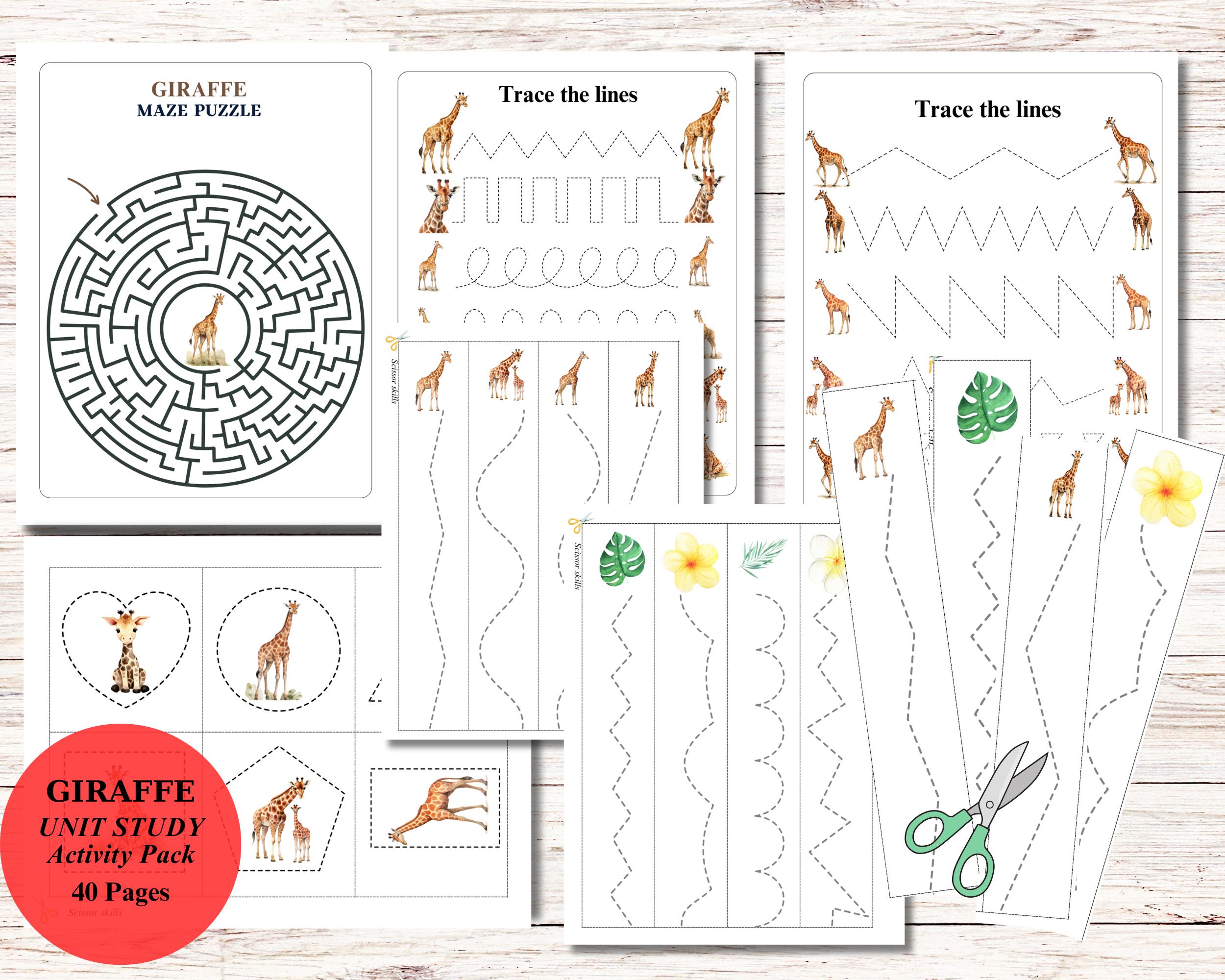 Giraffe Unit Study, Activity Pack, Homeschool Printable (PDF) - Etsy