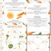 Carrot Unit Study, Vegetable Printable Activity, Nature Home School ...