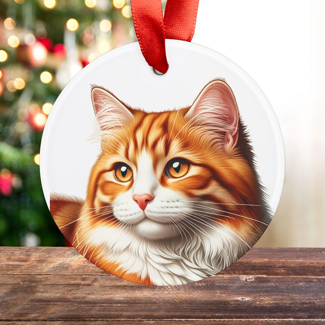 Personalized Orange Tabby Cat Ornament: Holiday Christmas Tree Decor - Etsy