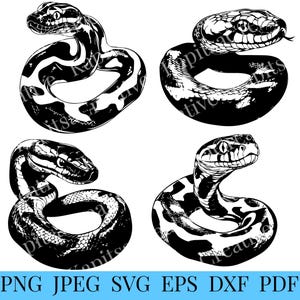 Snake Silhouettes, Boa Vector File, Svg, Pdf, Eps, Dxf, Snake Png, Jpeg ...