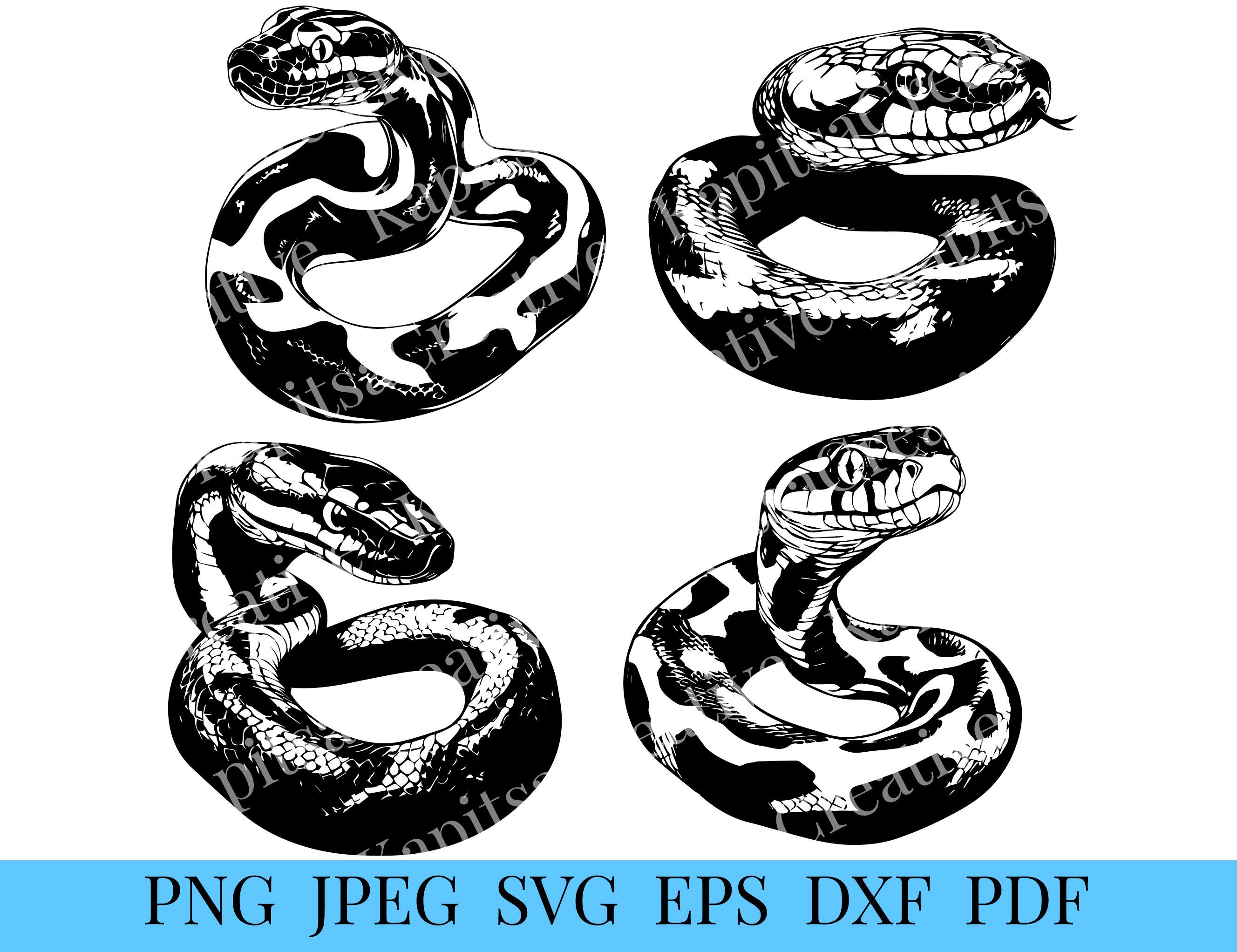 Snake Silhouettes, Boa Vector File, Svg, Pdf, Eps, Dxf, Snake Png, Jpeg ...