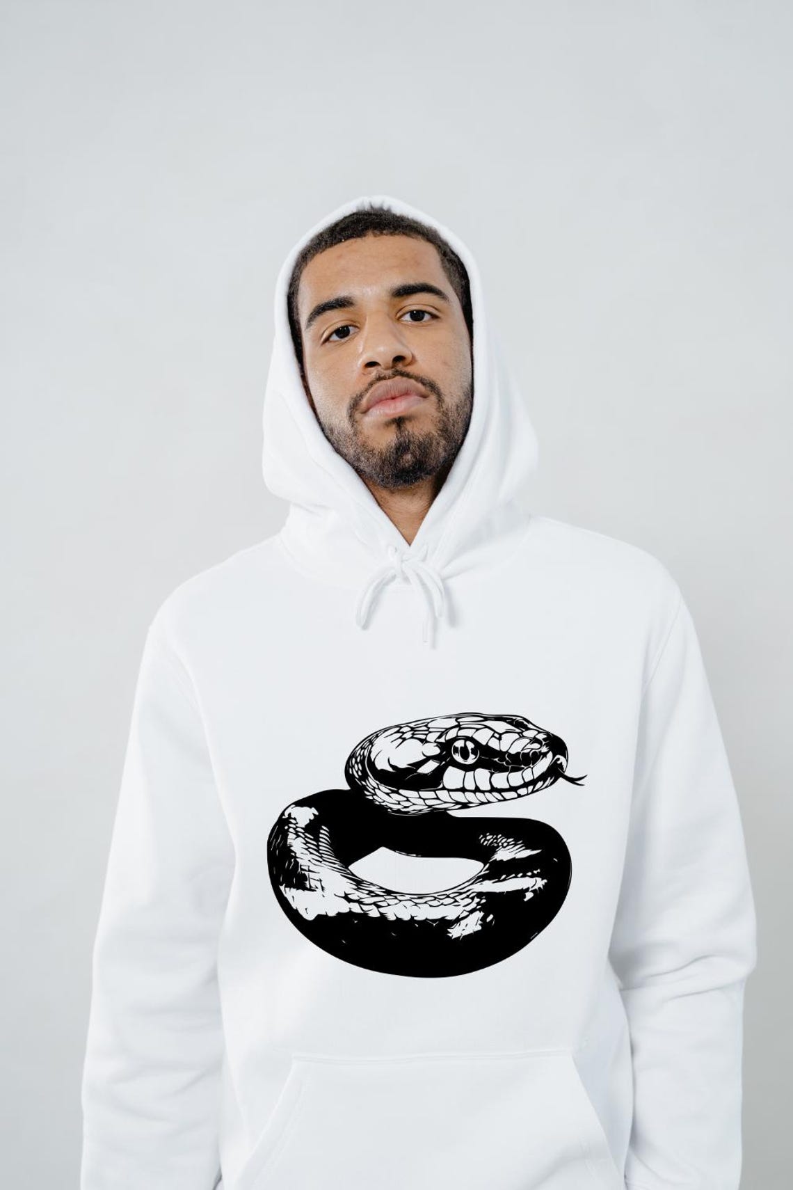 Snake Silhouettes, Boa Vector File, Svg, Pdf, Eps, Dxf, Snake Png, Jpeg ...