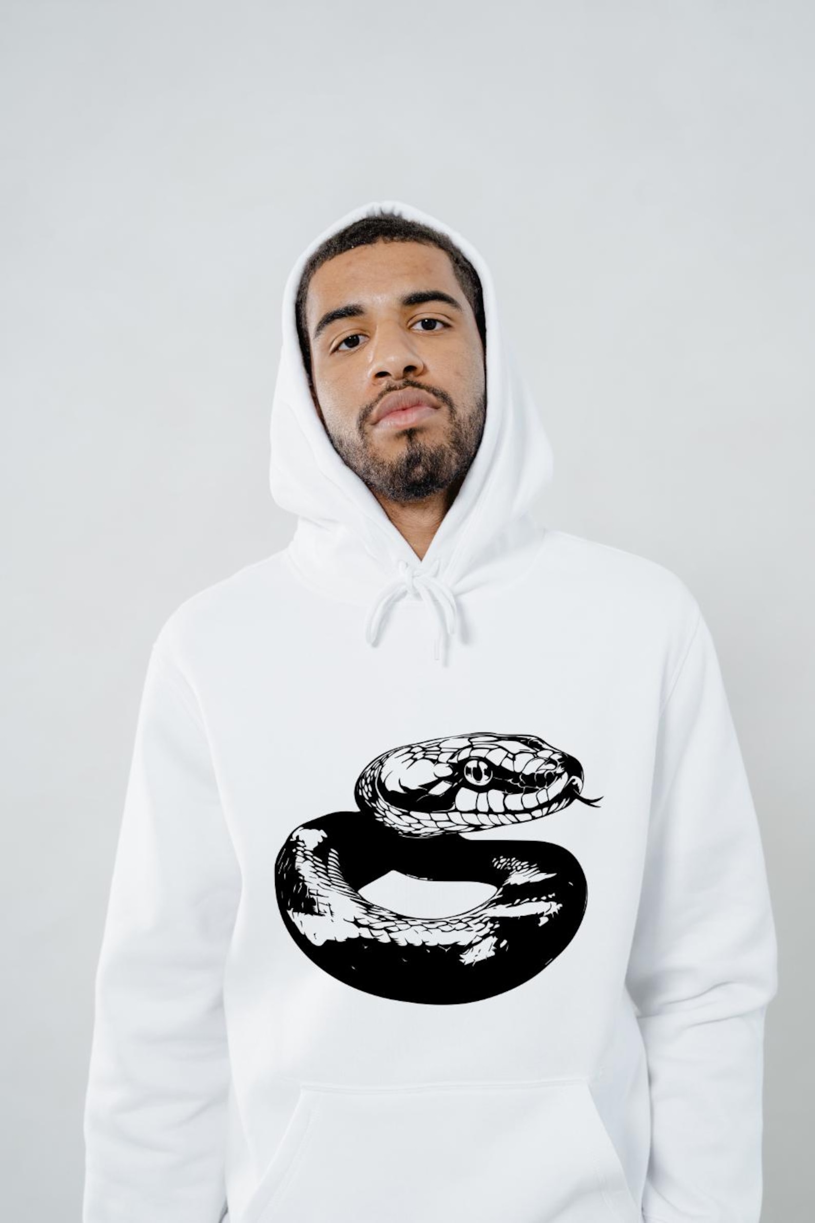 Snake Silhouettes, Boa Vector File, Svg, Pdf, Eps, Dxf, Snake Png, Jpeg ...