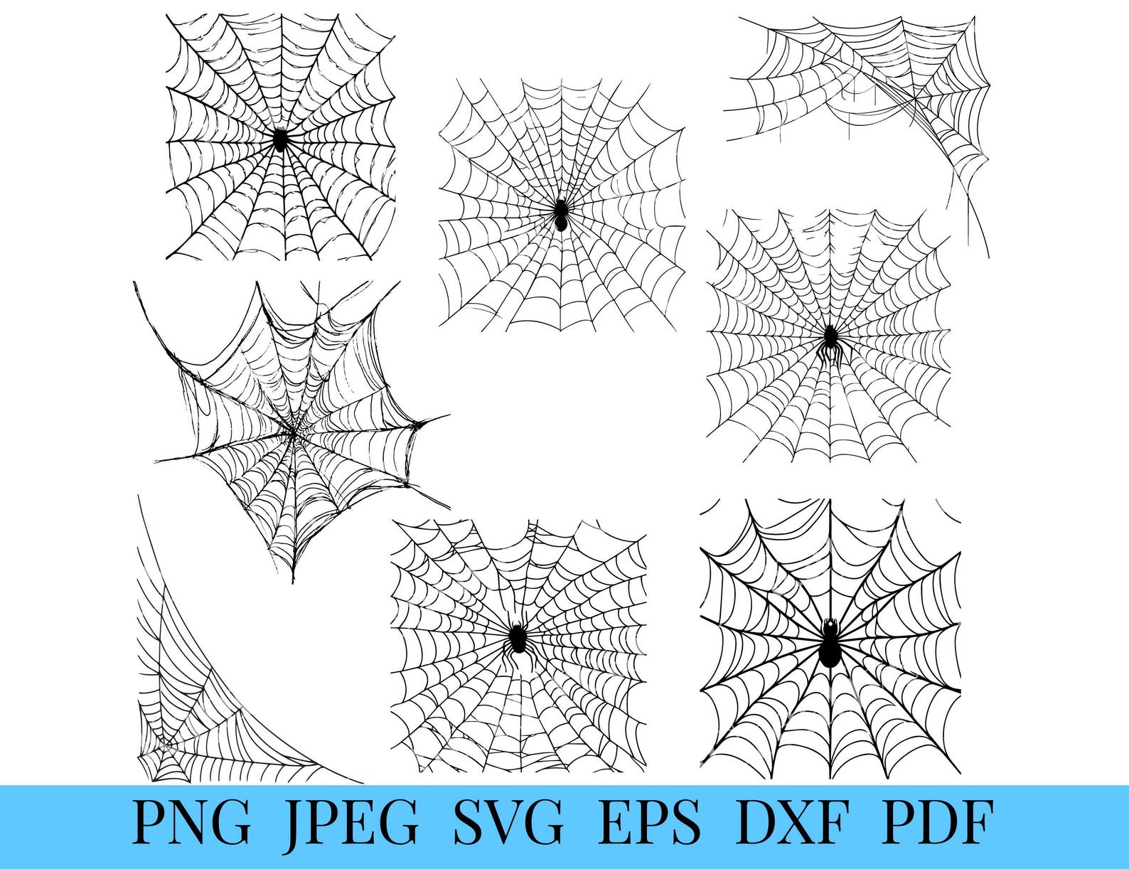 Spider Web SVG, Web Vector, Cutting File, Digital Download, Svg, Pdf ...
