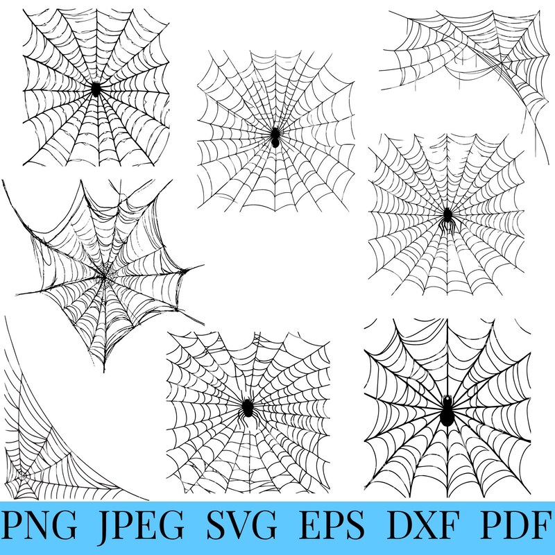 Spider Web Svg - Etsy