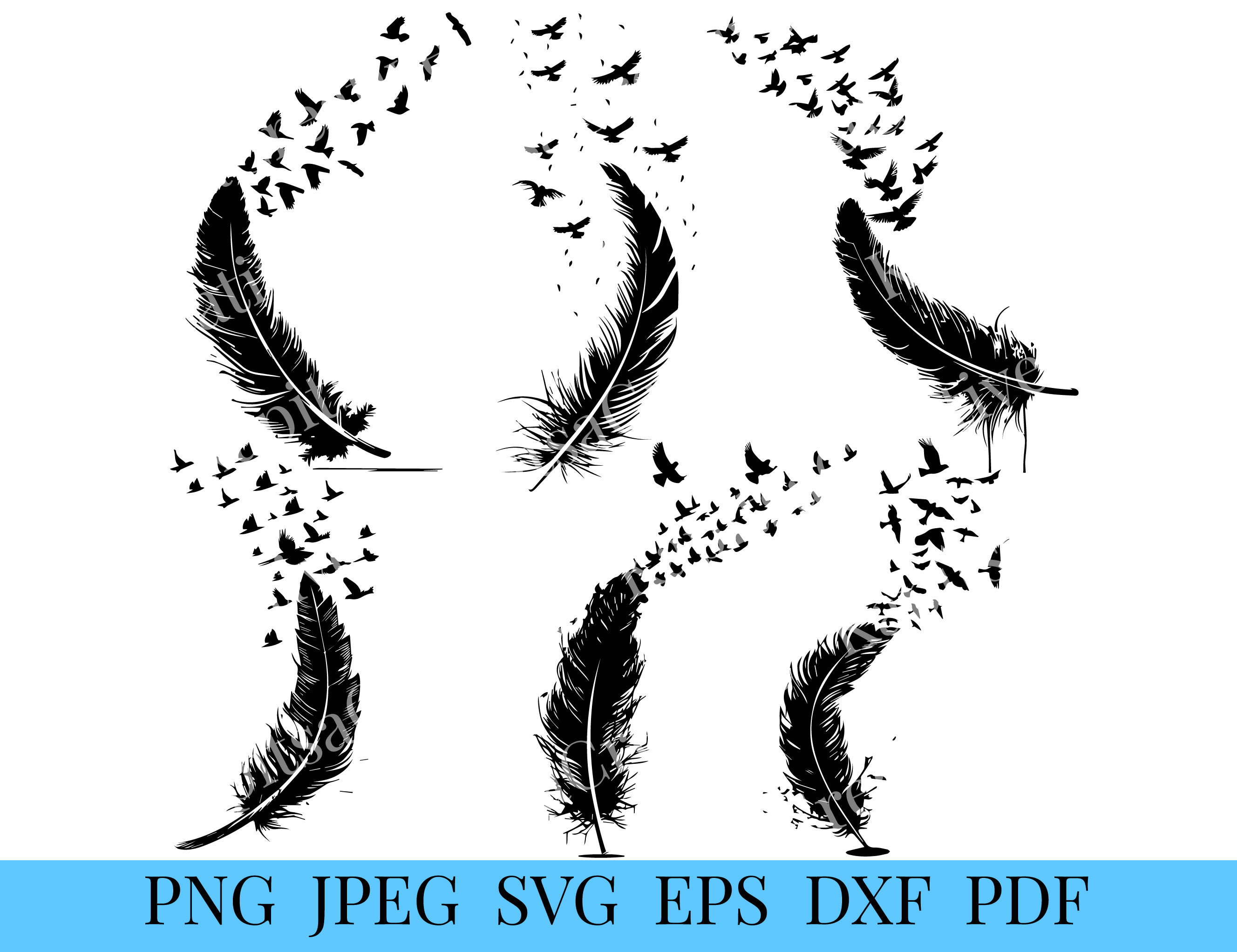 Feathers With Birds SVG, Feather Vector, Cutting File, Digital Download ...