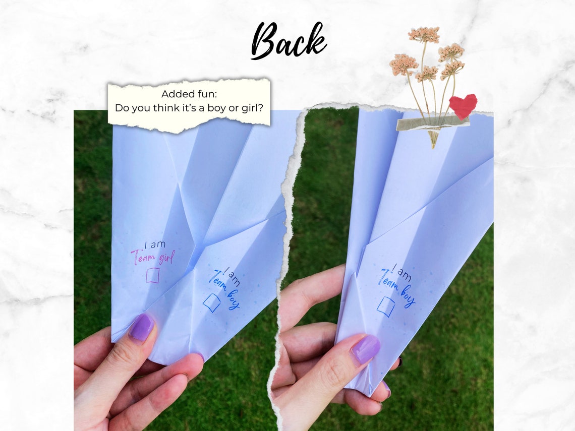 Editable Gender Reveal Paper Airplane Invitation, Gender Reveal ...