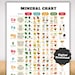 Mineral Chart Cheat Sheet and Supplement Reference Chart, Reference Guide and Dietitian ...