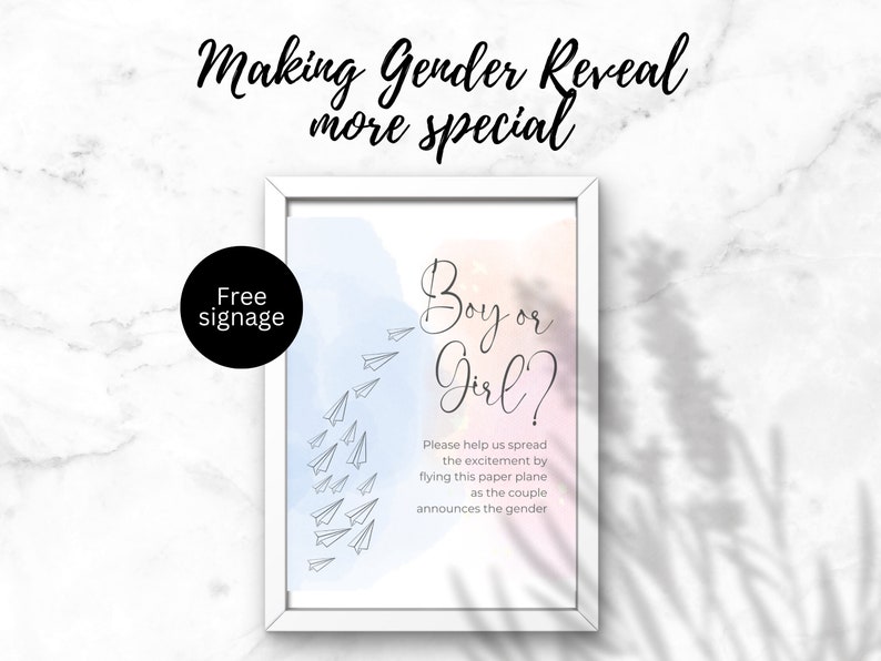 Editable Gender Reveal Paper Airplane Invitation, Gender Reveal ...