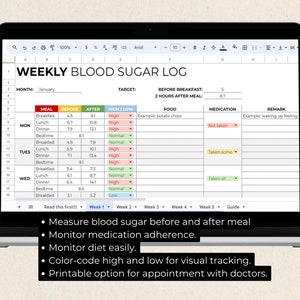 Blood Sugar Log Google Sheets & Digital Diabetic Blood Sugar Tracker ...