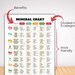 Vitamins and Mineral Chart Cheat Sheet and Supplement Reference Chart ...