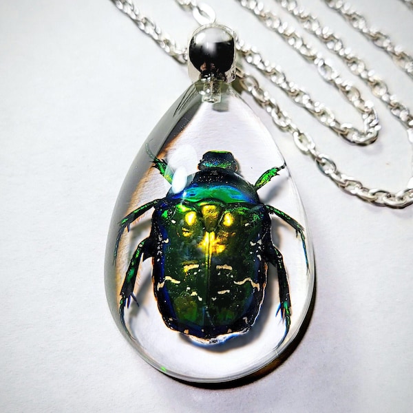 Insect Jewelry - Etsy