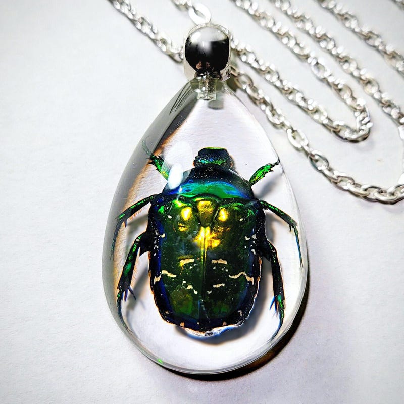 Insect Jewelry - Etsy