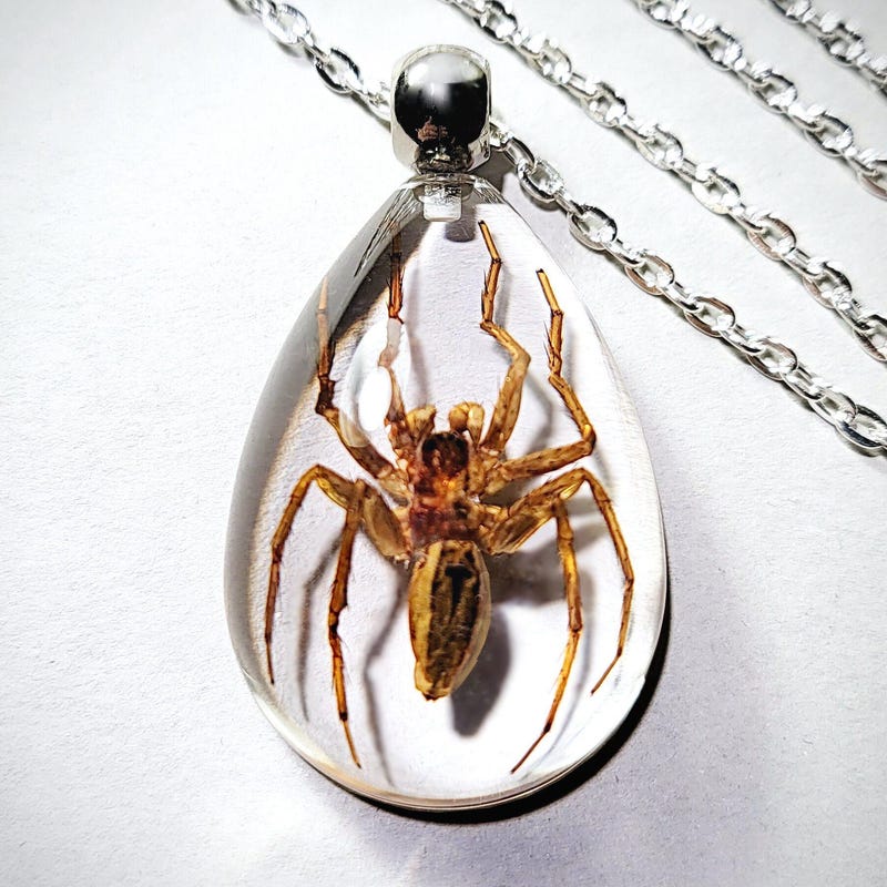 Spider Locket - Etsy