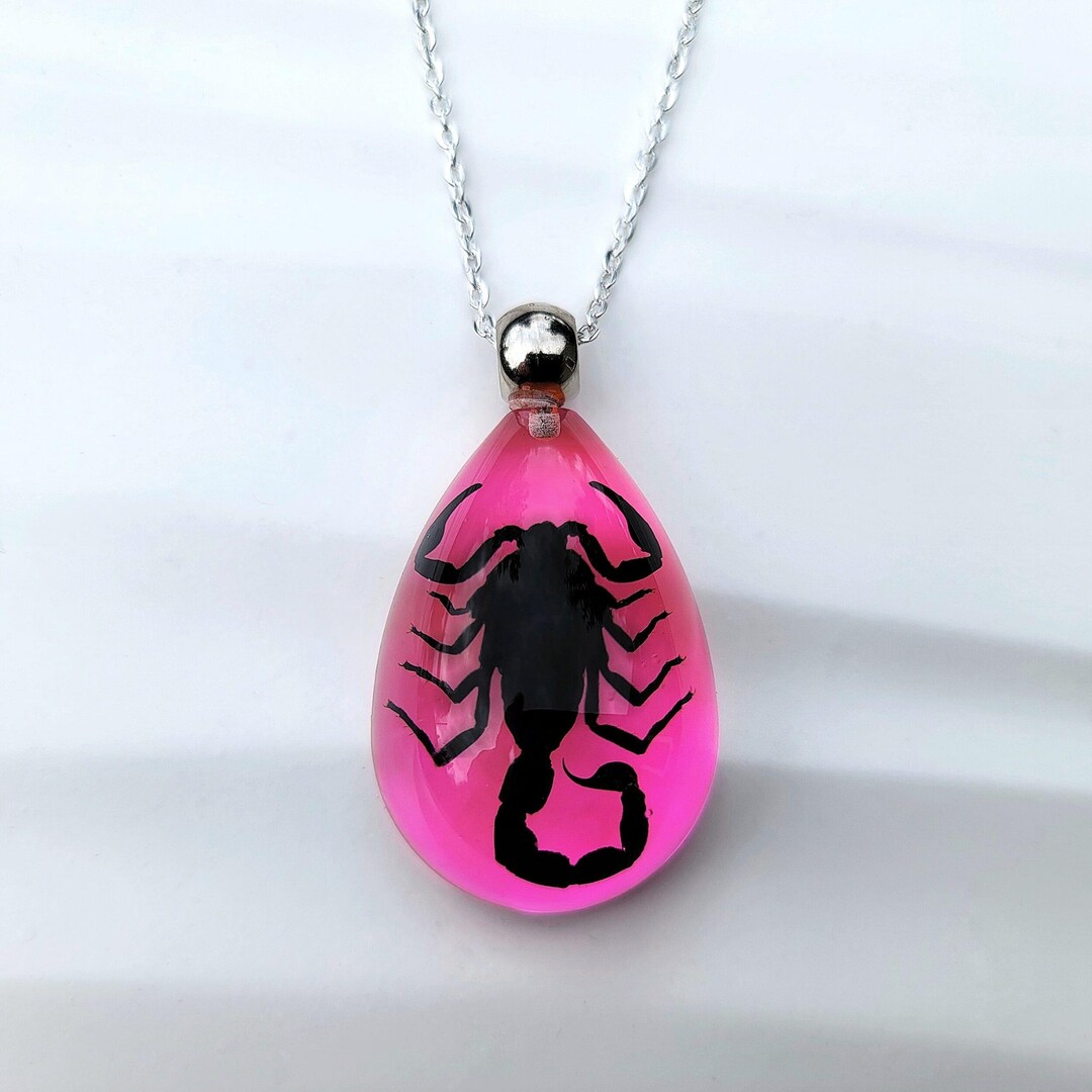 Black Scorpion Pink Necklace, Real Insect Jewelry - Etsy