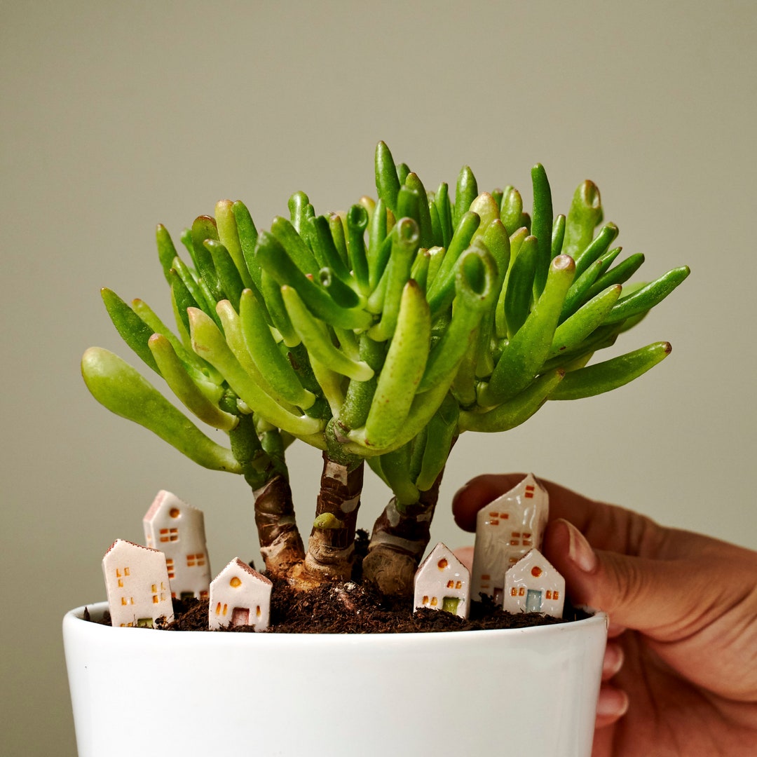 Miniature Ceramic House | Handmade Miniatures | 6 Style Tiny Ceramic ...