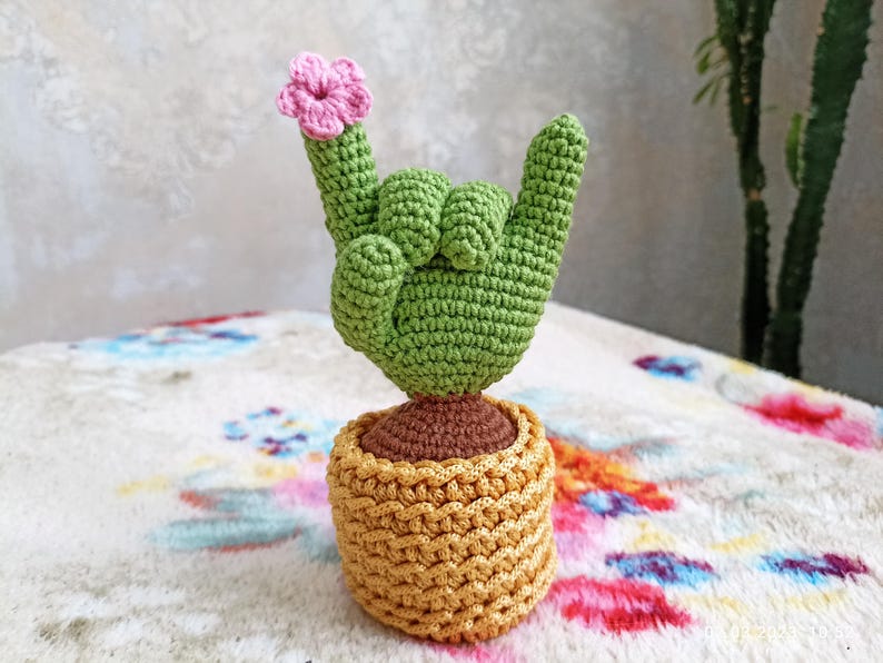 Crochet Cactus Hand Pattern, Middle Finger Cactus, Victory Cactus, Rock ...