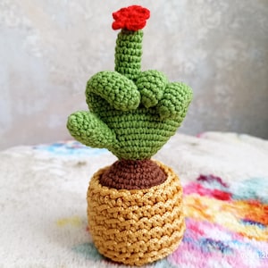 Crochet Cactus Hand Pattern, Middle Finger Cactus, Victory Cactus, Rock ...
