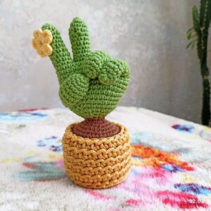 Crochet Cactus Hand Pattern, Middle Finger Cactus, Victory Cactus, Rock ...