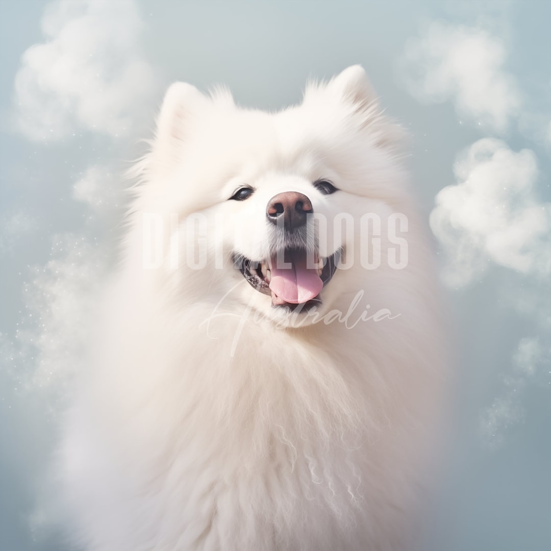 Samoyed Dog Digital Download Printable Image You Can Use for Your Own ...