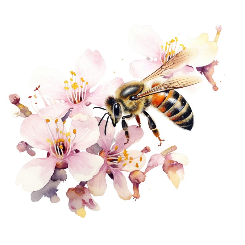 Watercolor Honey Bee Clipart : 8 High Quality Png Transparent File,bee ...