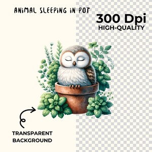 15 PNG Files : Animal in a Pot, Watercolor Cute Animal, Watercolor Png ...