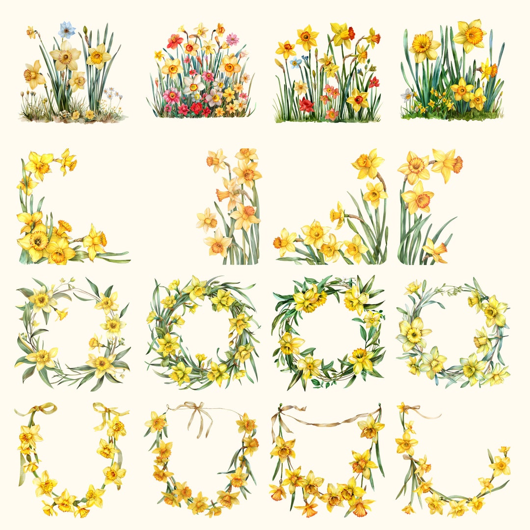 24 PNG Files : Watercolor Daffodil Clipart PNG Bundle, Flowers Clipart ...