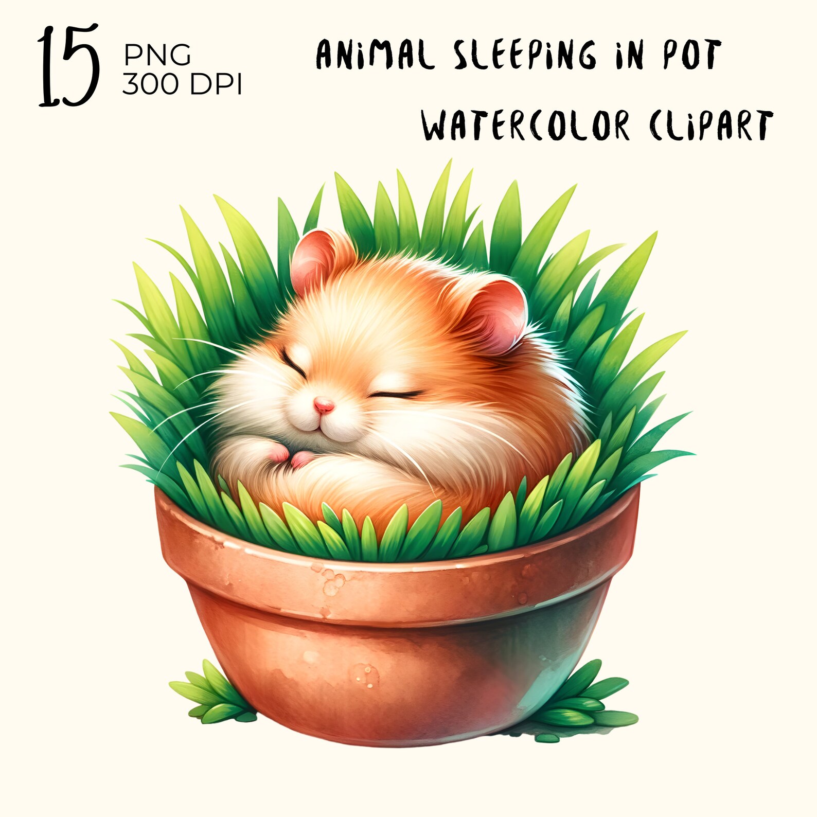 15 PNG Files : Animal in a Pot, Watercolor Cute Animal, Watercolor Png ...