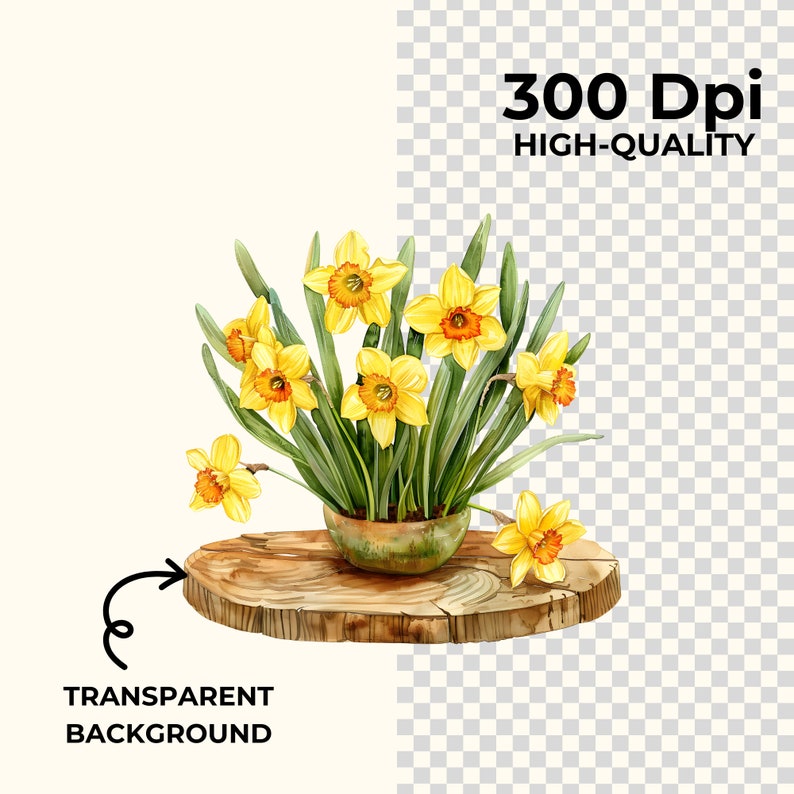 24 PNG Files : Watercolor Daffodil Clipart PNG Bundle, Flowers Clipart ...