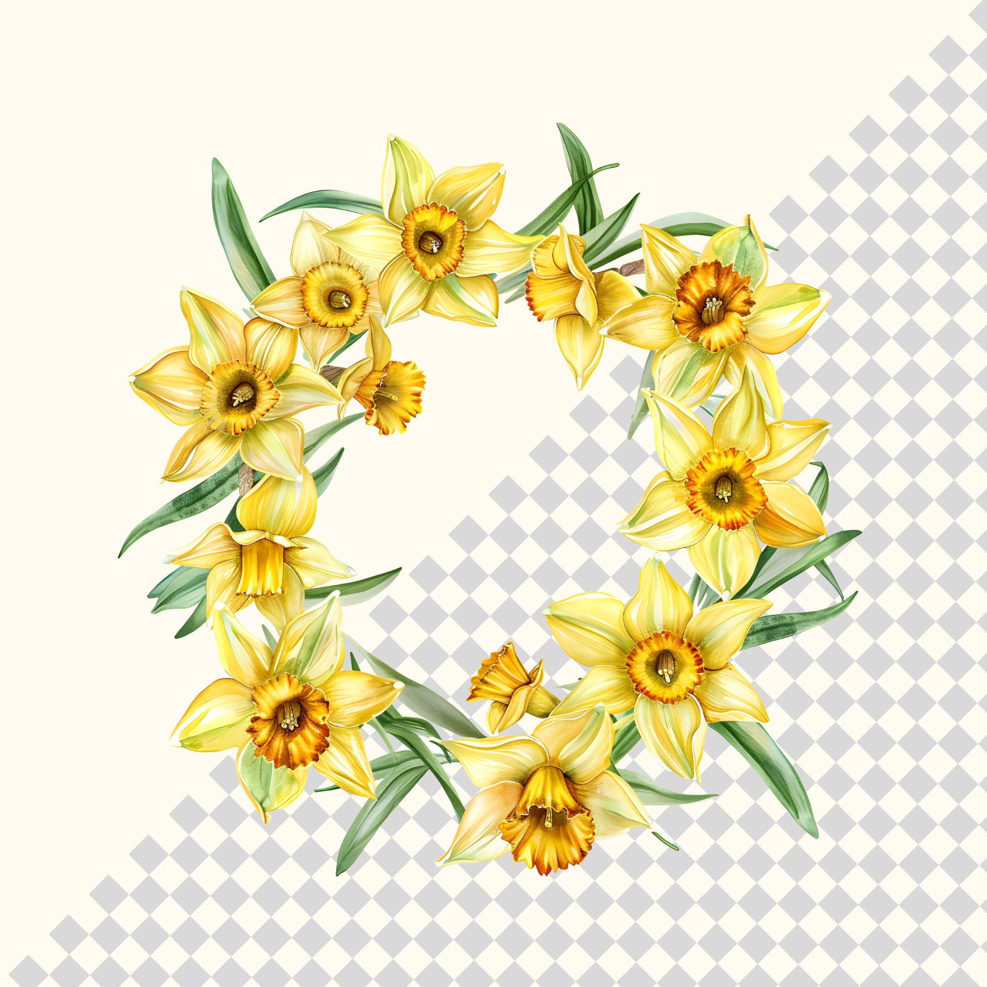 24 PNG Files : Watercolor Daffodil Clipart PNG Bundle, Flowers Clipart ...