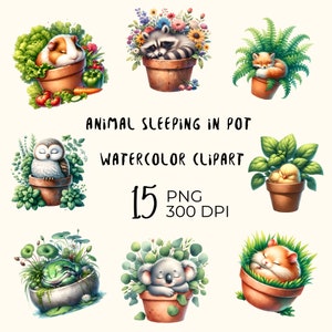 15 PNG Files : Animal in a Pot, Watercolor Cute Animal, Watercolor Png ...