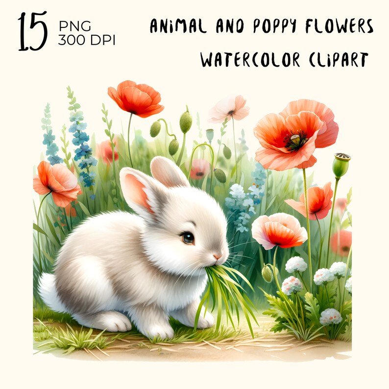 15 PNG Files : Animal and Poppy Flowers, Watercolor Animal Clipart ...
