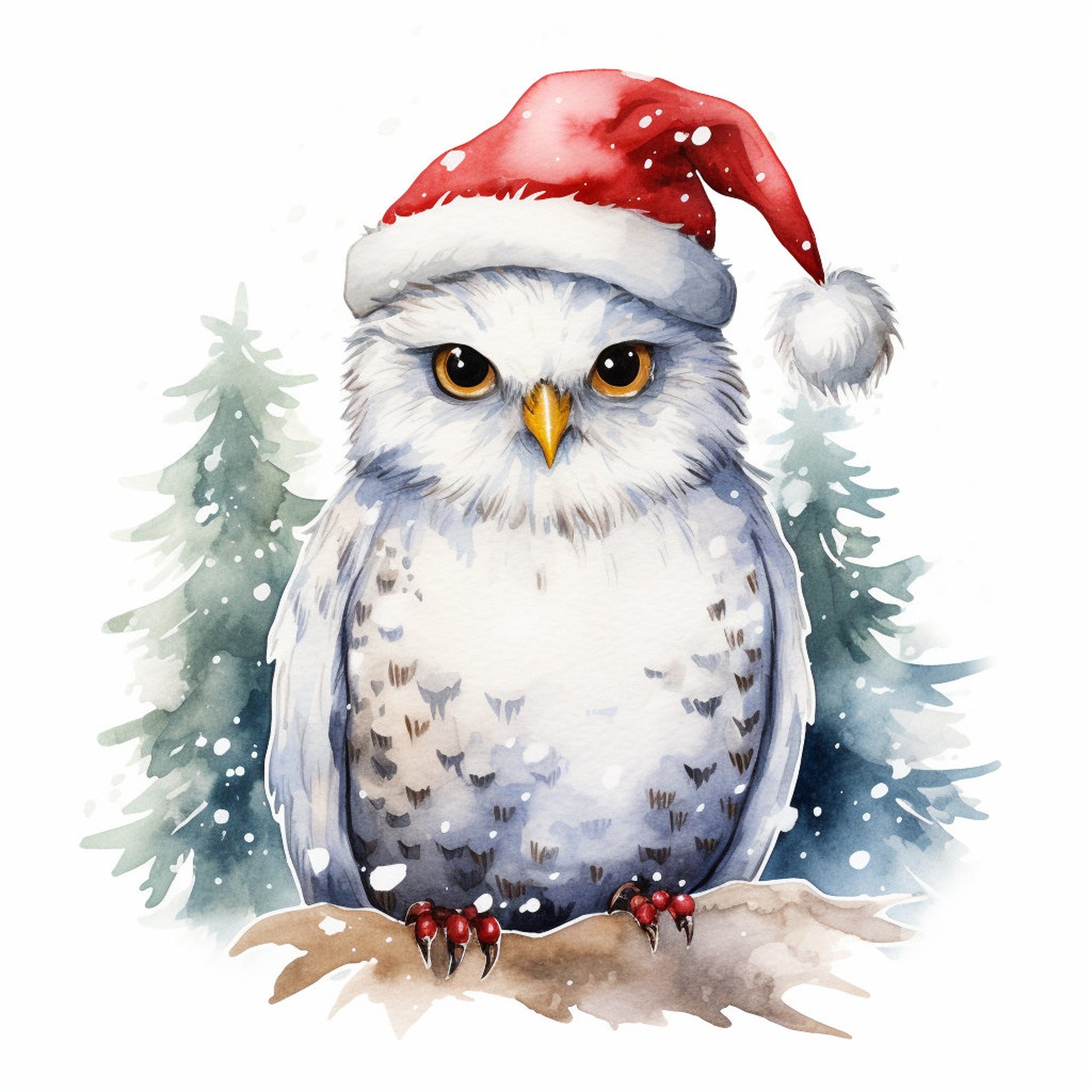 Watercolor Christmas Snowy Owl in Santa Hat, Digital Download, Card ...