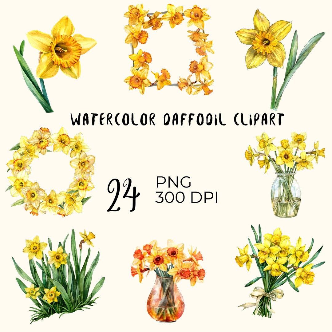 24 PNG Files : Watercolor Daffodil Clipart PNG Bundle, Flowers Clipart ...