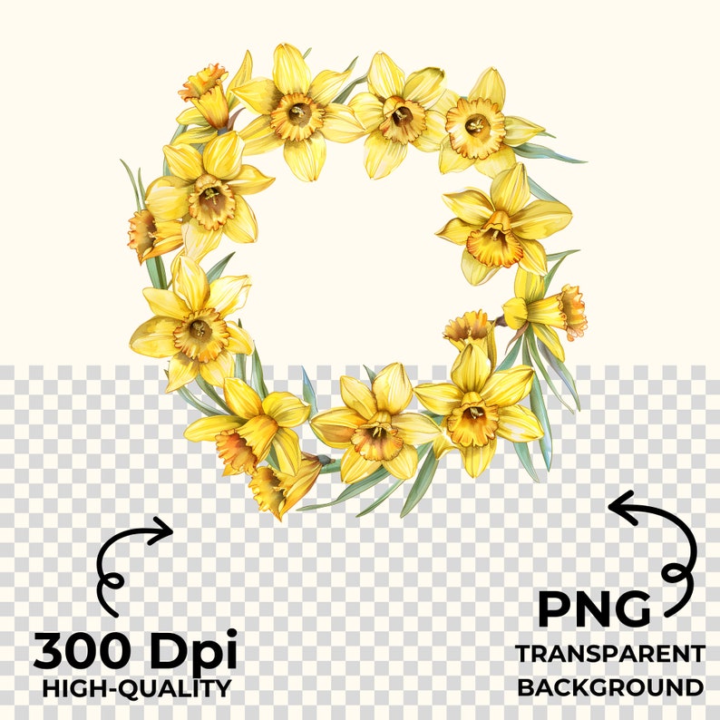 24 PNG Files : Watercolor Daffodil Clipart PNG Bundle, Flowers Clipart ...