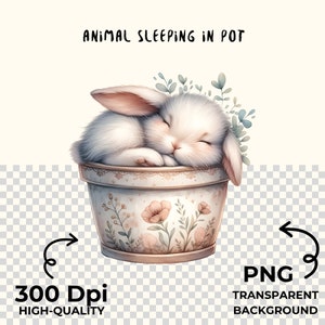 15 PNG Files : Animal in a Pot, Watercolor Cute Animal, Watercolor Png ...