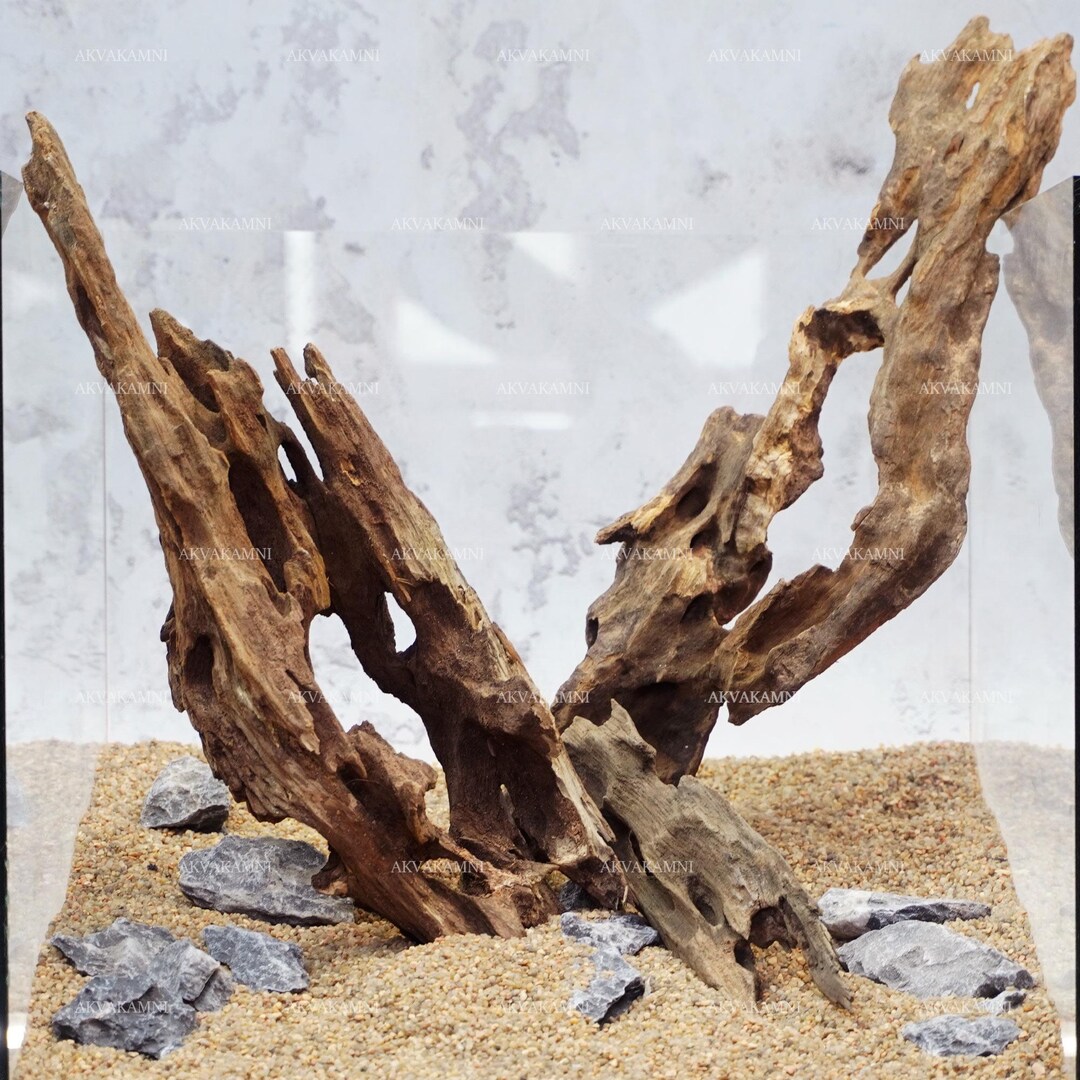 Roots and Stone for Design Aquarium. Dragonwood Natural Stone. Fish ...