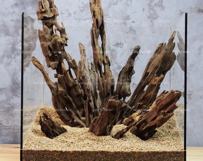 Aquarium Hardscape. Roots for Design Aquarium. Dragon Wood (shrimp Wood ...