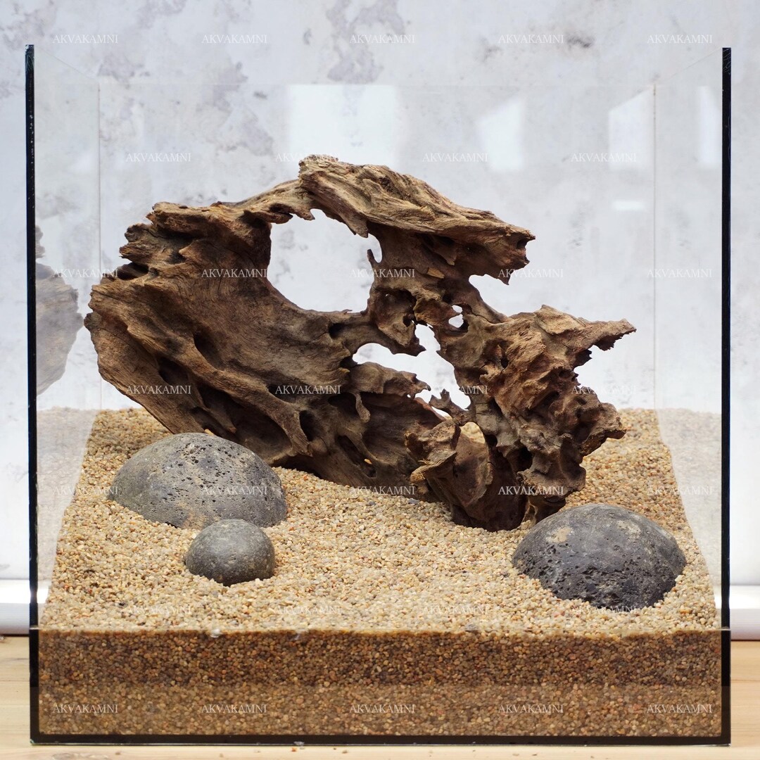 Roots and Stone for Design Aquarium. Dragonwood Natural Stone. Fish ...