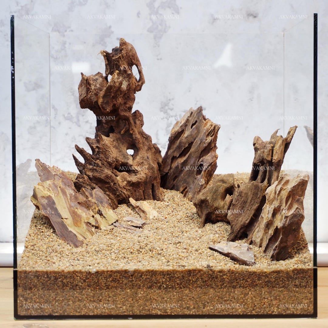 Dragonstone Natural Roots for Nano Fish Tank Design. Hardscape for 30 ...