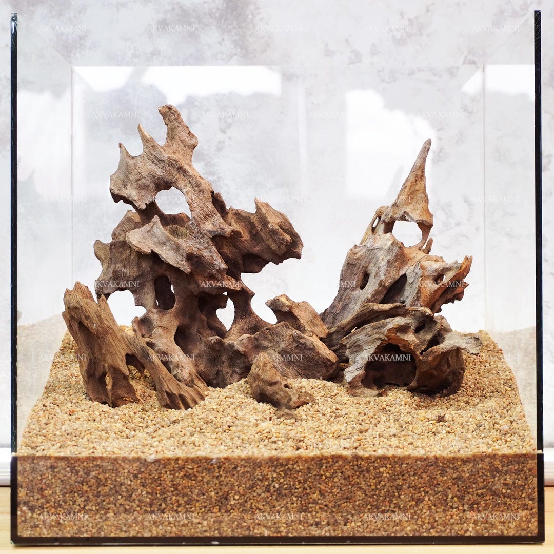 Aquarium Hardscape. Roots for Design Aquarium. Dragon Wood (shrimp Wood ...