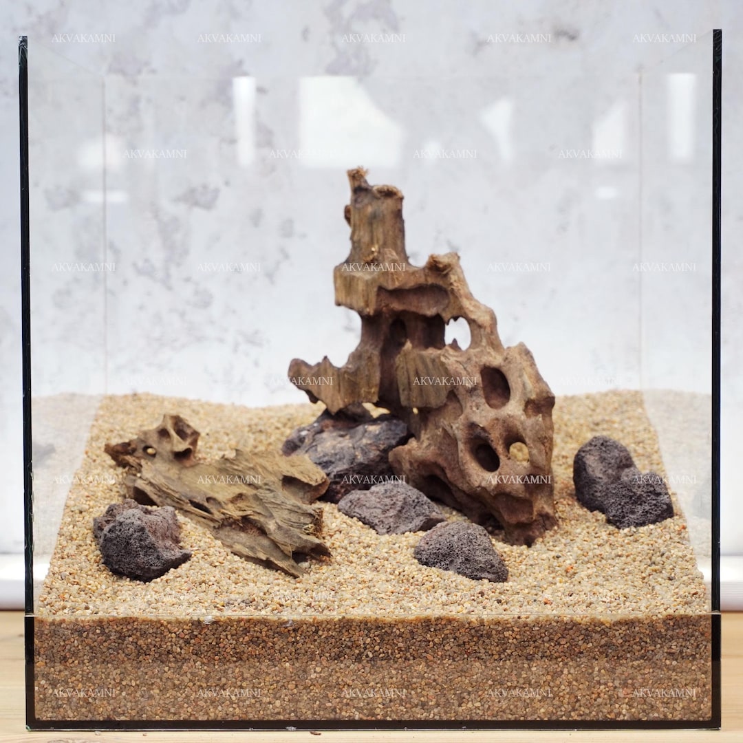 Driftwood Lava Rocks. Nano Fish Tank Design. Hardscape for 30 Liters 8 ...