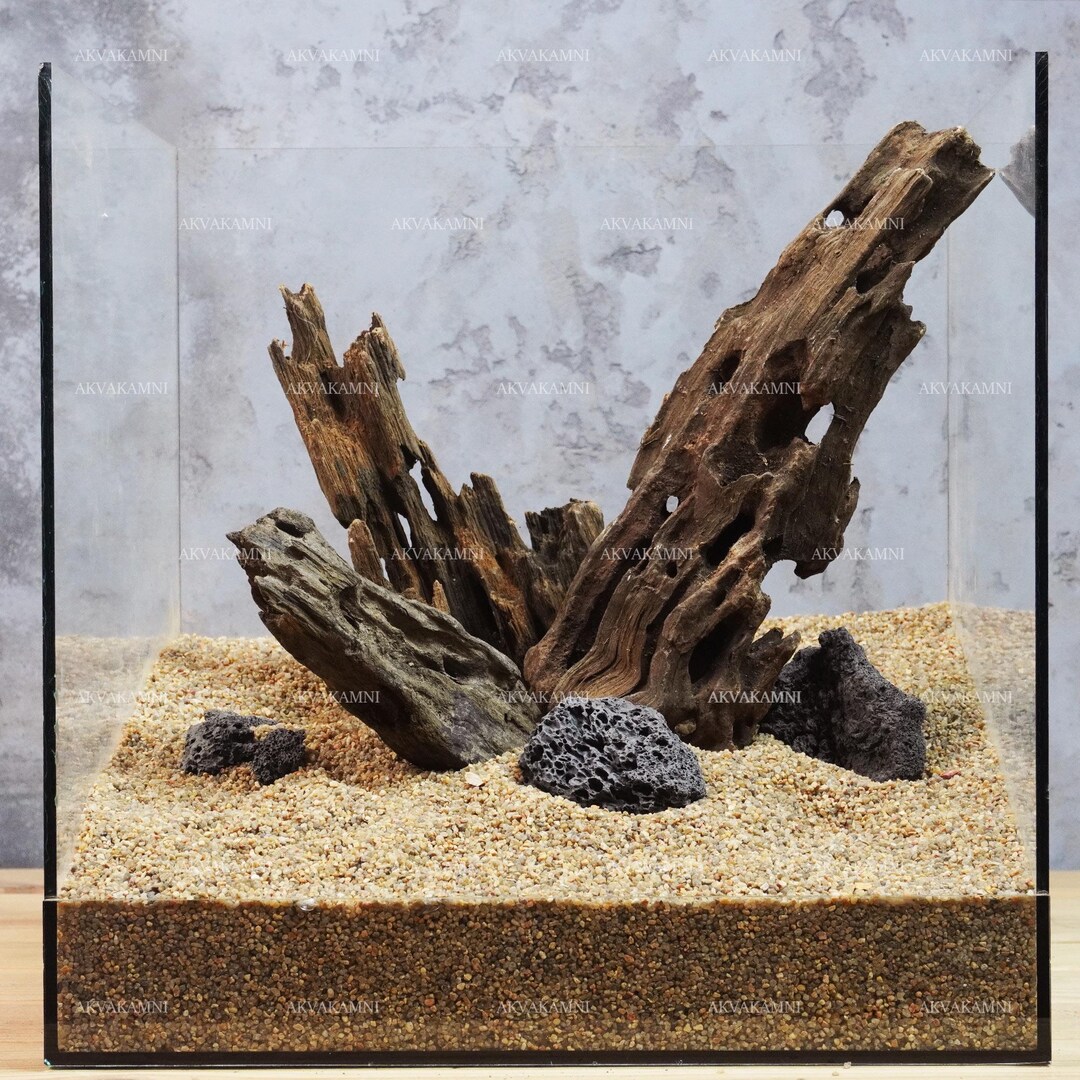 Dragonwood Lava Rocks. Nano Fish Tank Design. Hardscape for 30 Liters 8 ...
