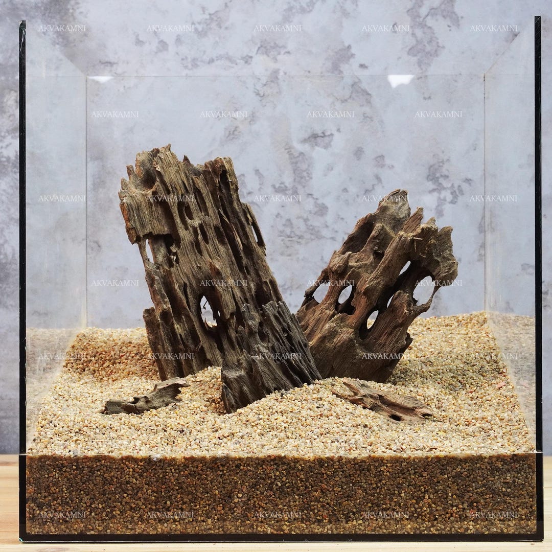 Aquarium Hardscape. Roots for Design Aquarium. Dragon Wood (shrimp Wood ...